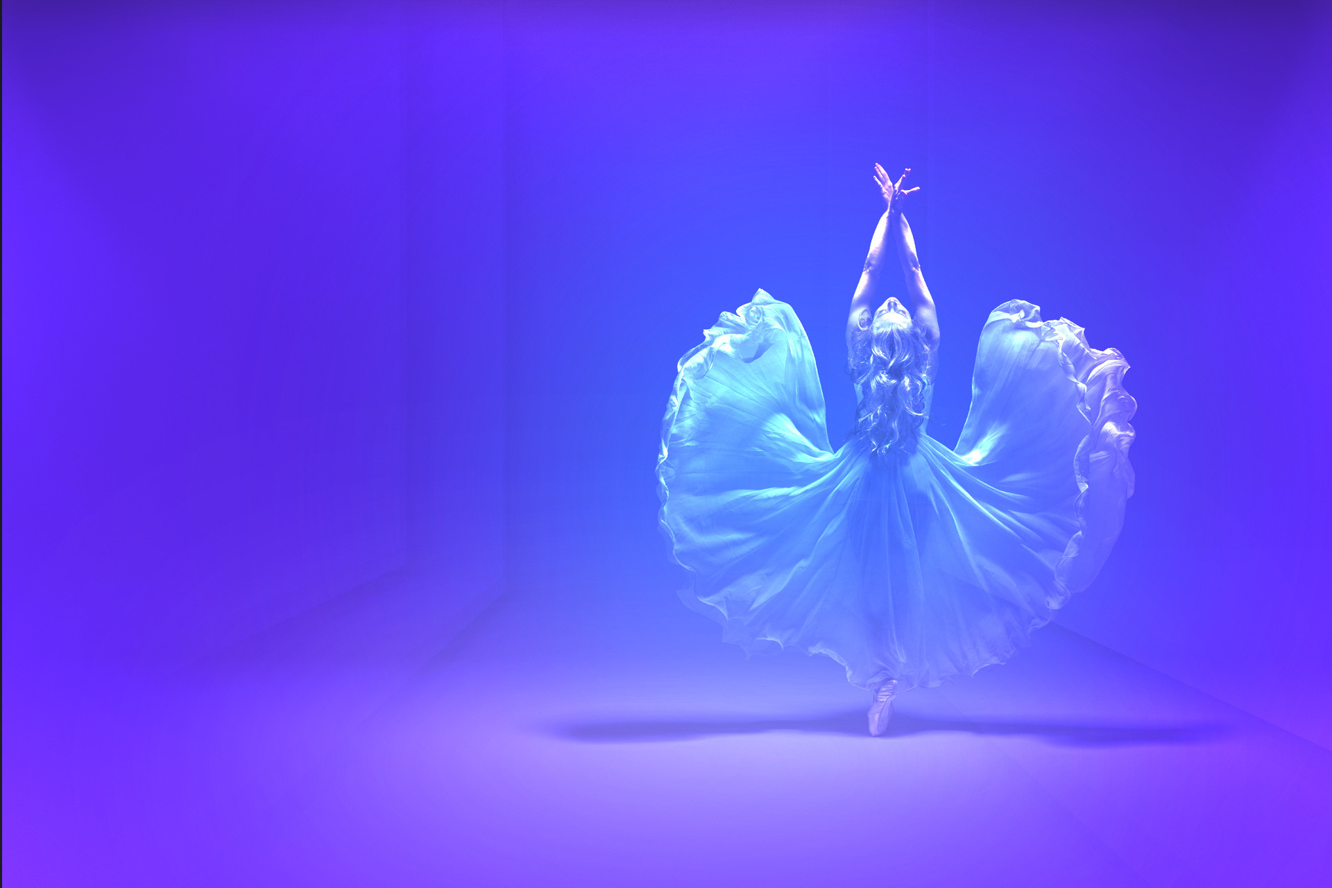 Richard Calmes Photography